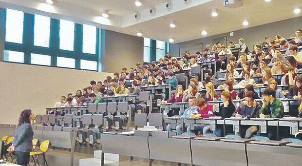 Master e corsi di perfezionamento, 40 nuovi percorsi al Bo: dalla violenza infantile agli ...