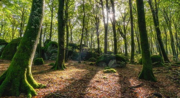 Amanda Lecciso, gli amori, i figli, i rapporti con Loredana Lecciso ...