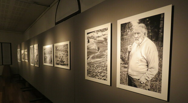 Mario Rigoni Stern, a Treviso l'esposizione che celebra la sua ecologia ...