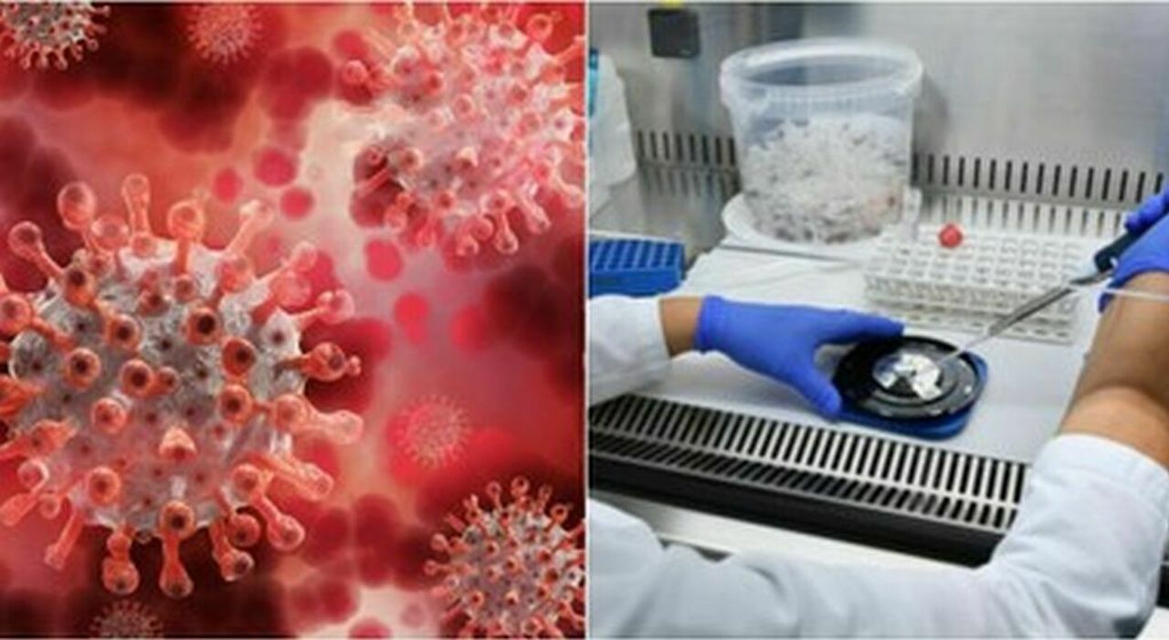 New Hypermutated Variant of Sars-Cov-2 Discovered in South Africa