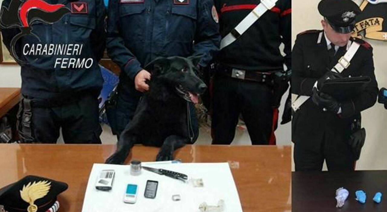 Controlli antidroga in tutto il Fermano, raffica di denunce: caccia a ... Controlli antidroga in tutto il Fermano, raffica di denunce: caccia a ...