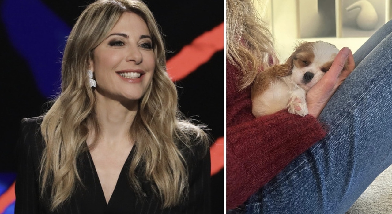 Francesca Fagnani: «Ho 3 cani, ma non sono sostituti dei figli ...