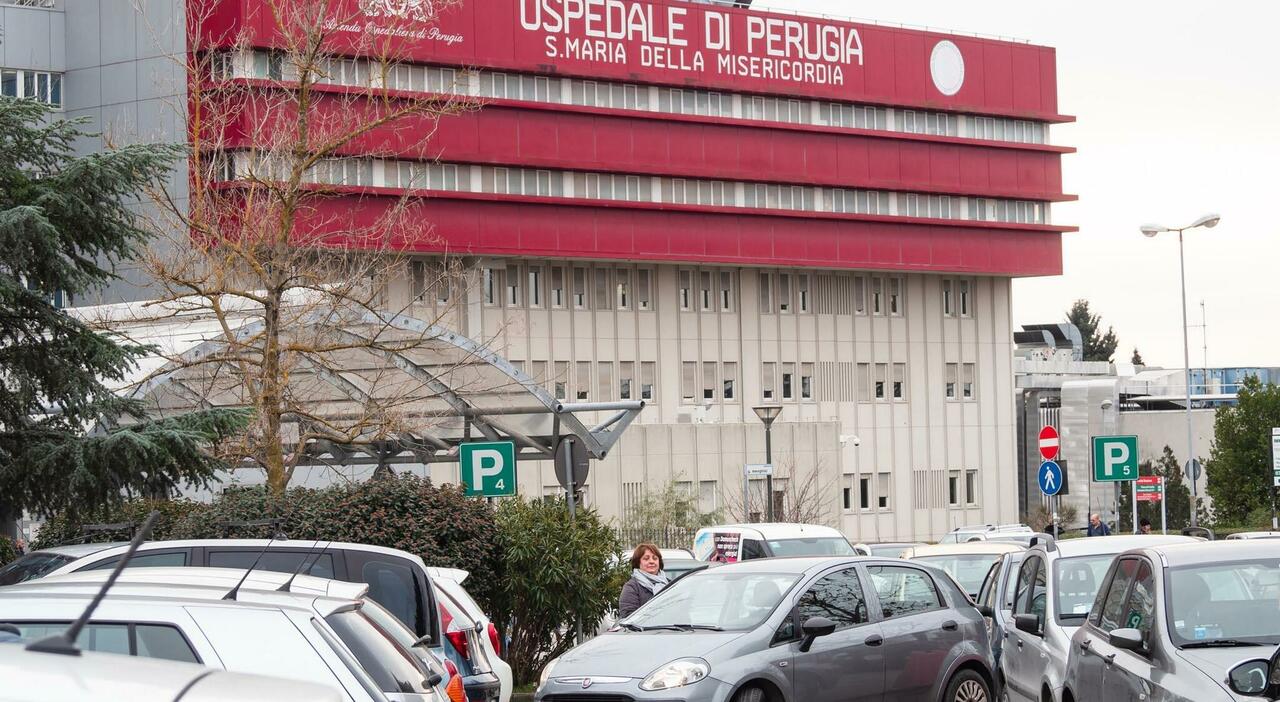 Meningitis en Perugia: Una Estudiante en Cuidados Intensivos