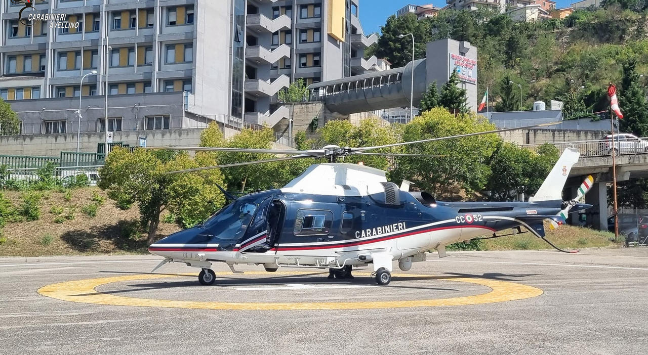 Ariano Irpino, controlli antidroga sul territorio: utilizzato anche un ...