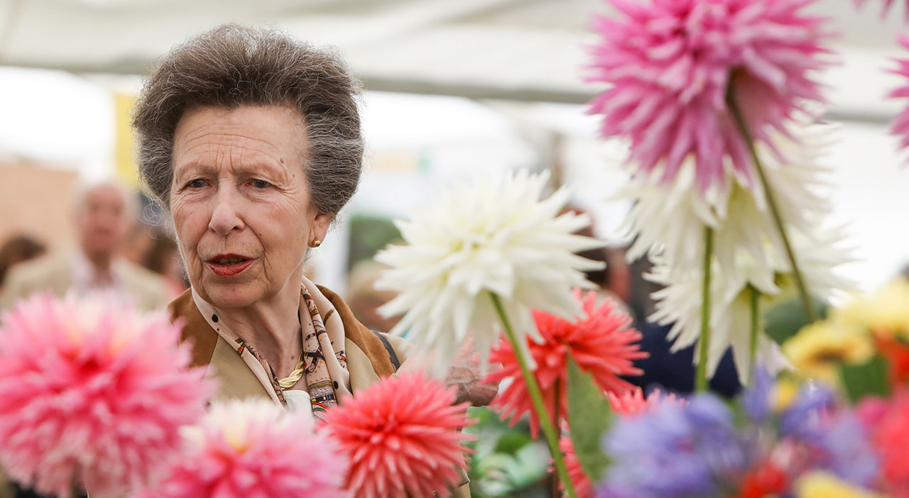 Japanese mom sex move she is for sure that girl in the