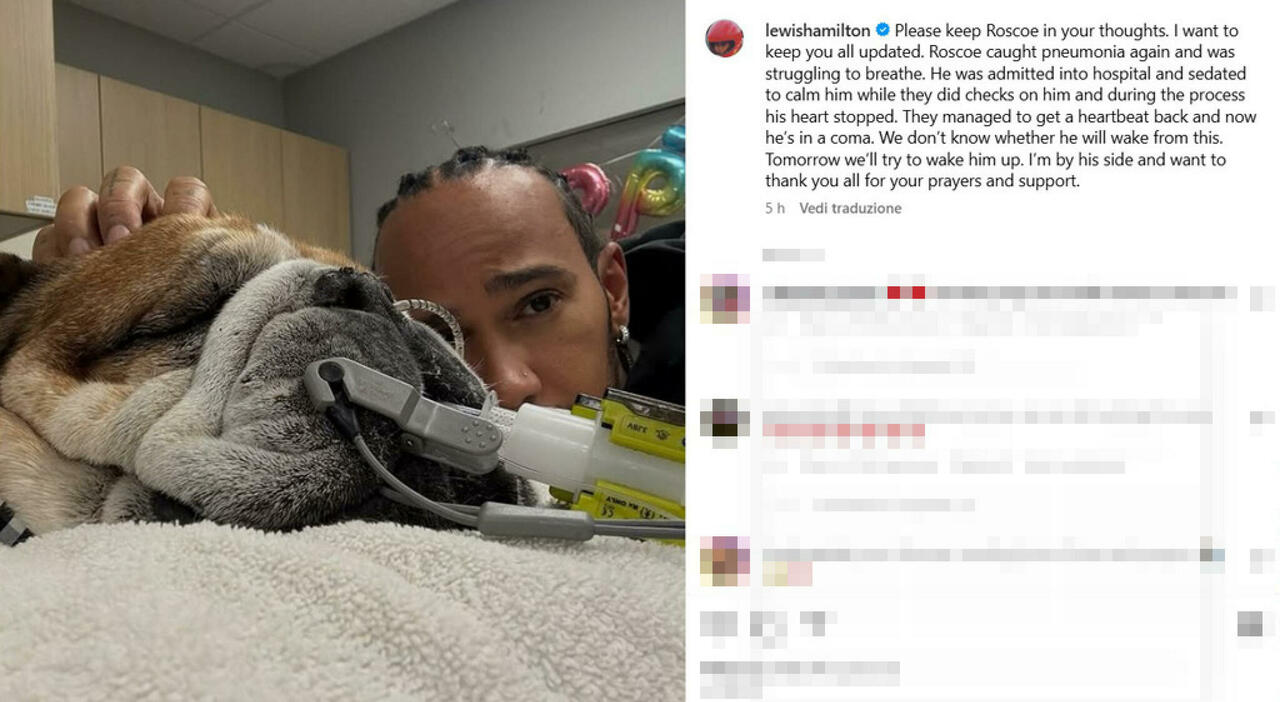 Lewis Hamilton y Roscoe: Unidos en la Adversidad