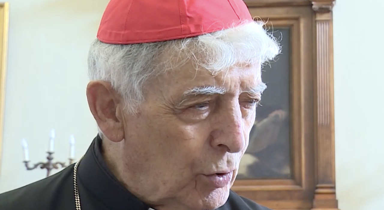 The Life and Service of Cardinal Edoardo Menichelli