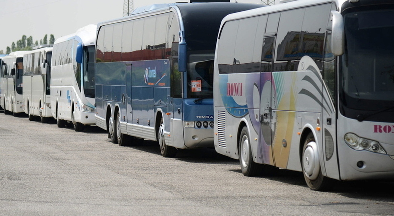 Bus turistici nella Capitale, i rincari per entrare in Centro: «Tariffe ...