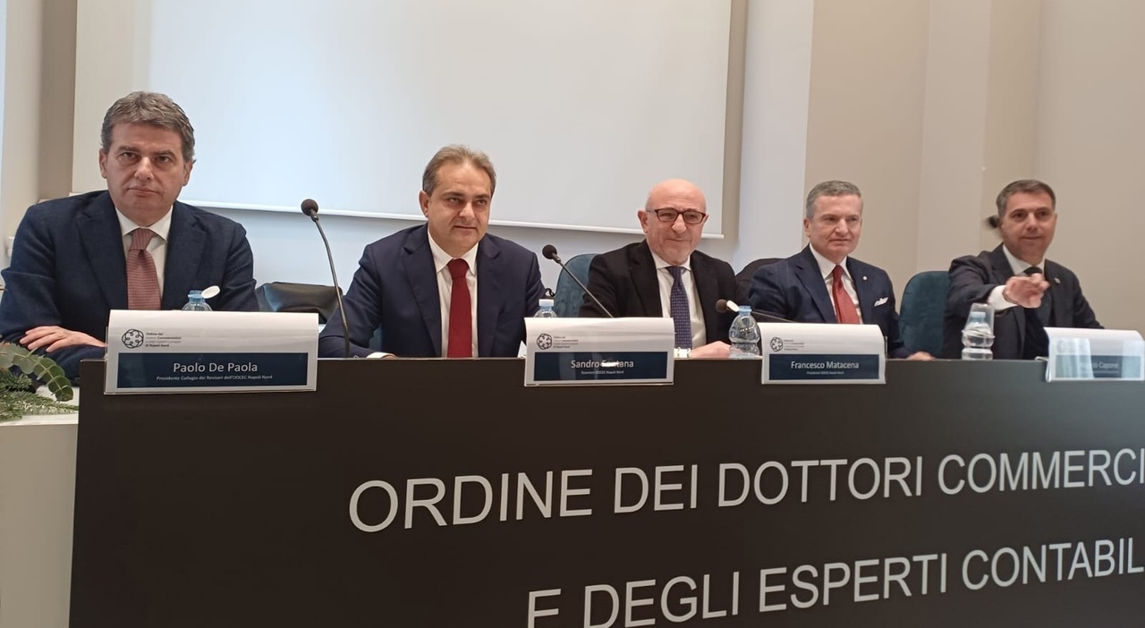 ナポリ北地域における 10 年間の卓越性 - nipponese.news - Nipponese