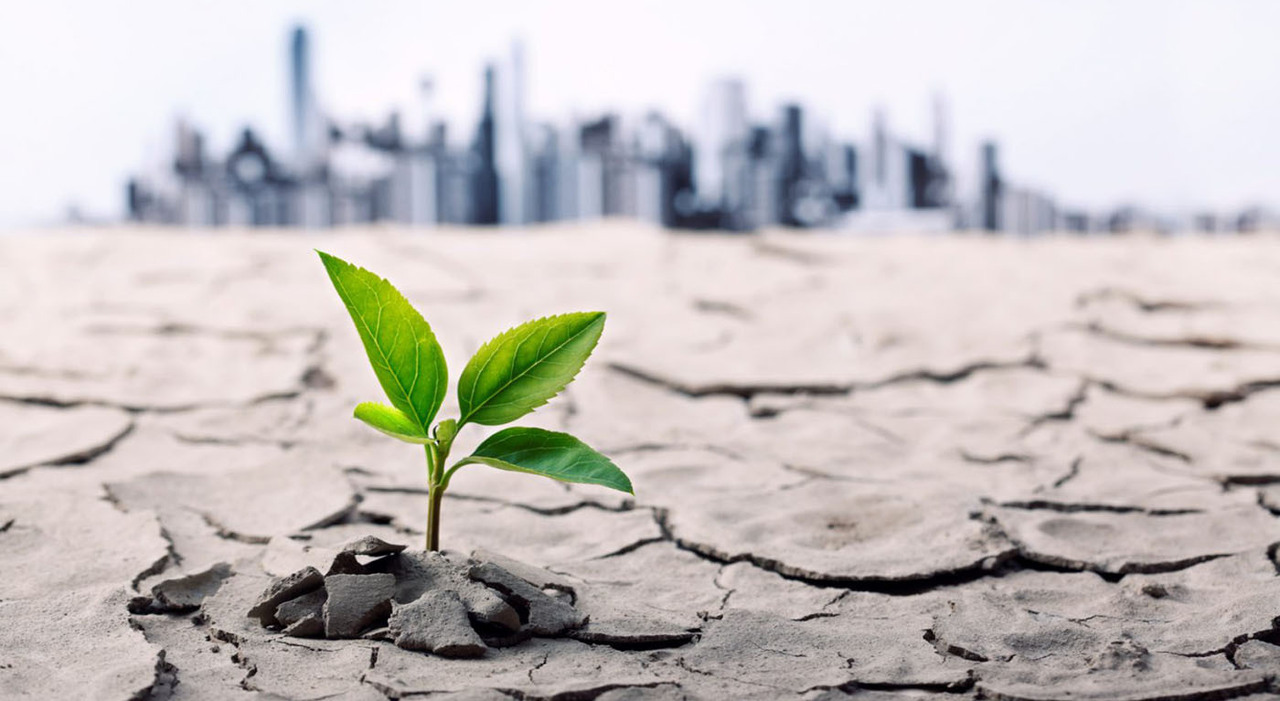 Return Academy: Building Multi-Risk Expertise