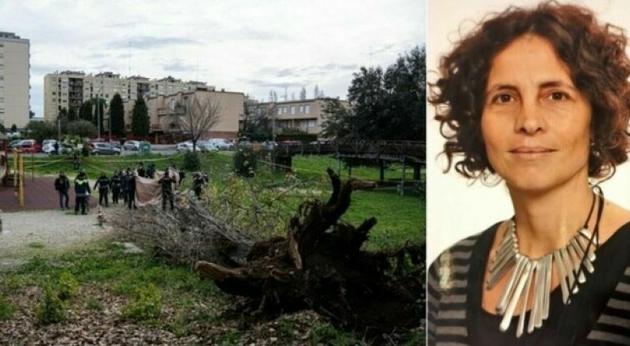 Francesca Ianni morta schiacciata da un albero: a rischio processo due ...