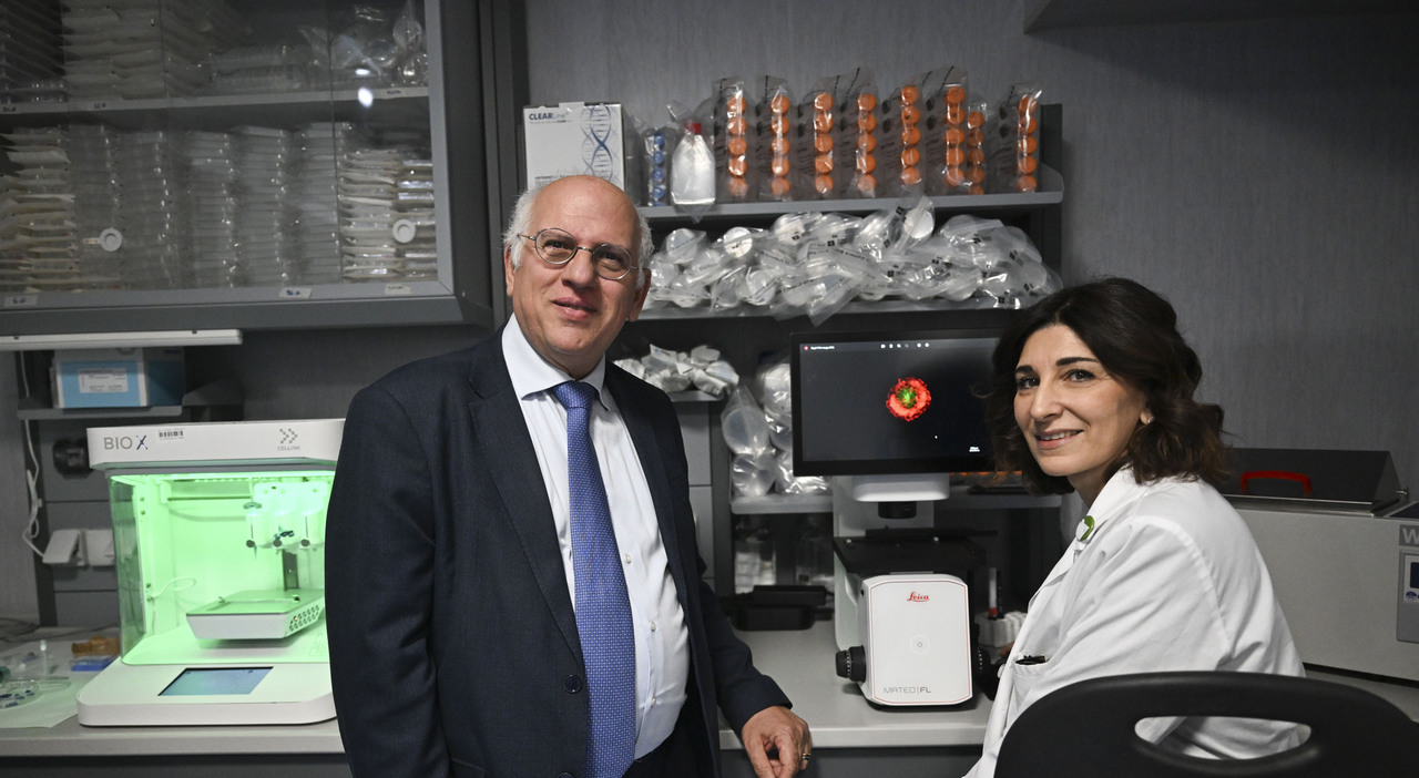 Mercogliano, il professore Ascierto inaugura il Crom hub di ricerca ...