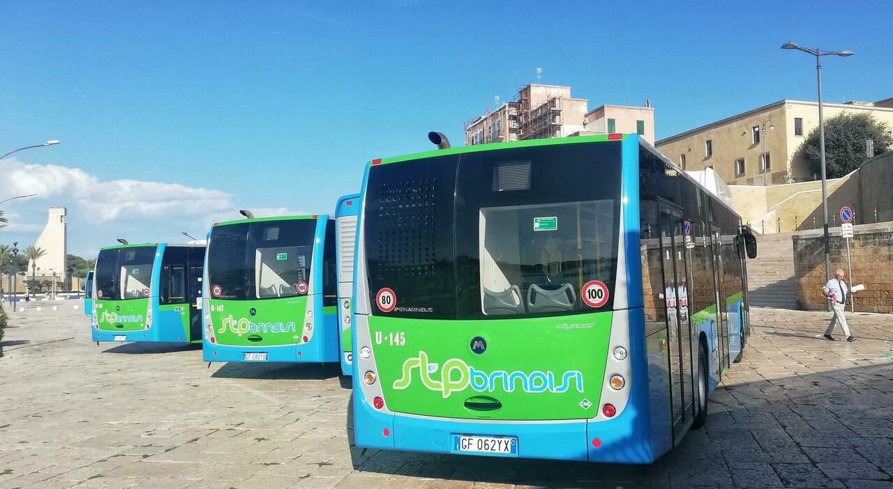 Accordi transattivi e bilancio della Stp in rosso: la Corte dei conti ...