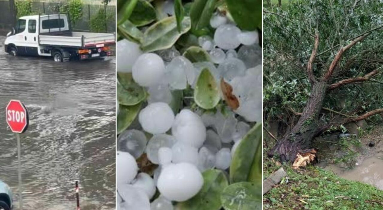 Maltempo, allerta meteo su Veneto e Friuli fino a mercoledì 3 giugno ...