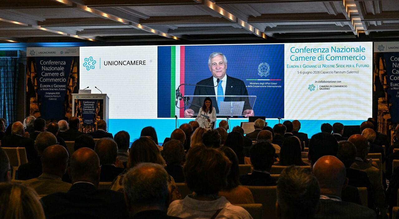 The Youth Factor: Revitalizing Business Competitiveness in Southern Italy
