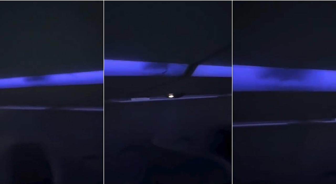 Ratto in cabina durante un volo: cosa è successo e perché è un grave ...