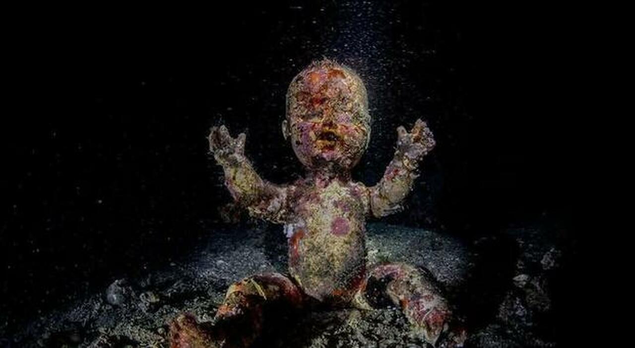 Una Muñeca en el Océano: Premio Internacional para Marco Gargiulo