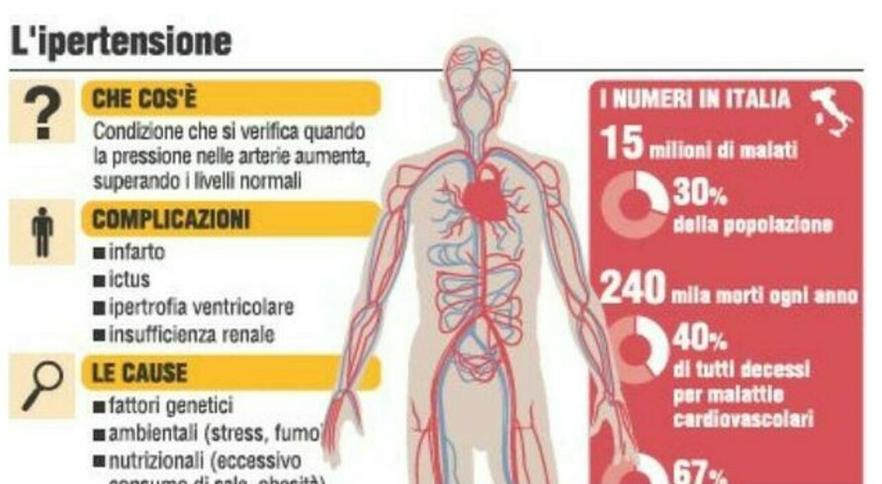 Caldo record e ipertensione, i consigli del cardiologo: «Ecco i tre ... Caldo record e ipertensione, i consigli del cardiologo: «Ecco i tre ...