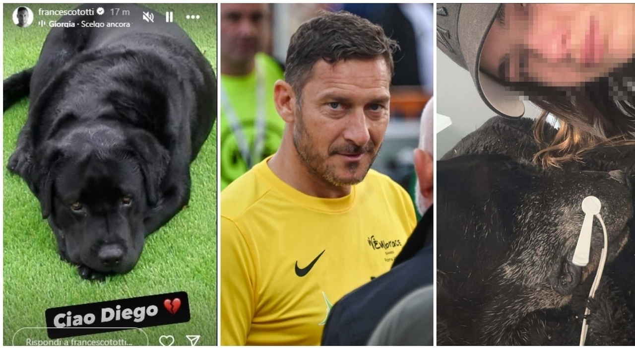 L'Adieu Émouvant de Totti à Diego