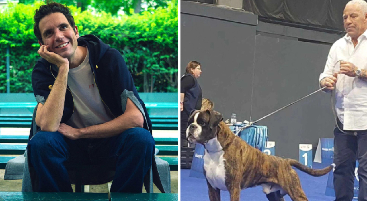 Il cane più bello del mondo è toscano e si chiama Mika (come il ...