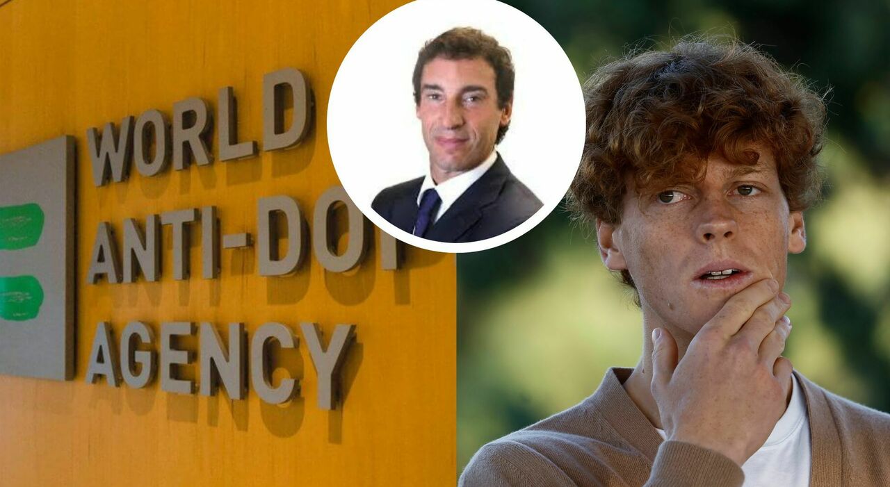 Sinner, cosa c'è dietro il ricorso della Wada: dal bollino doping ... Sinner, cosa c'è dietro il ricorso della Wada: dal bollino doping ...