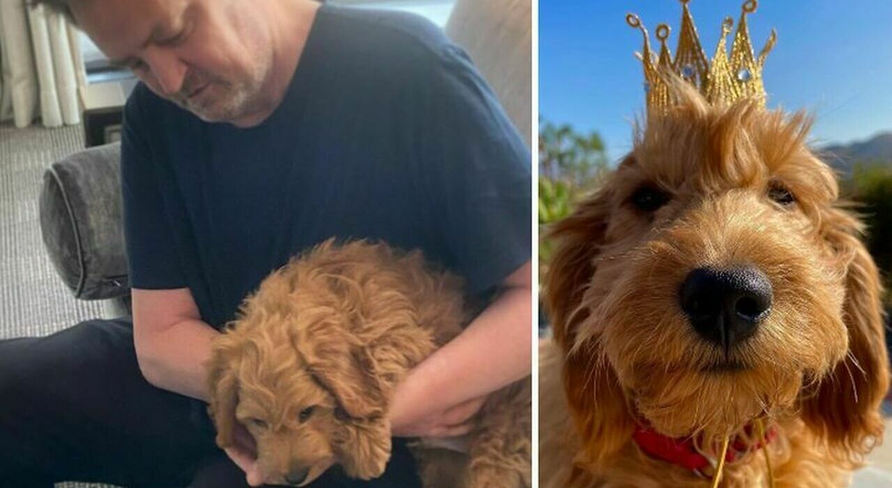 Matthew Perry, Lisa Kudrow (Phoebe di Friends) vuole adottare il suo ...