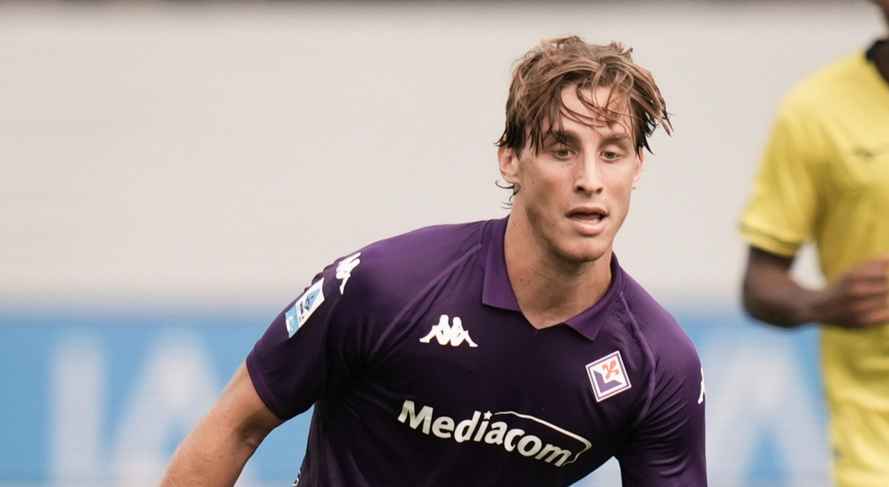 Understanding the Causes and Symptoms of Potassium Deficiency