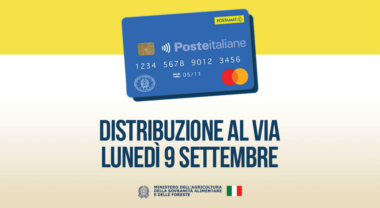 Dedicated Card 2024: Distribution and Benefits