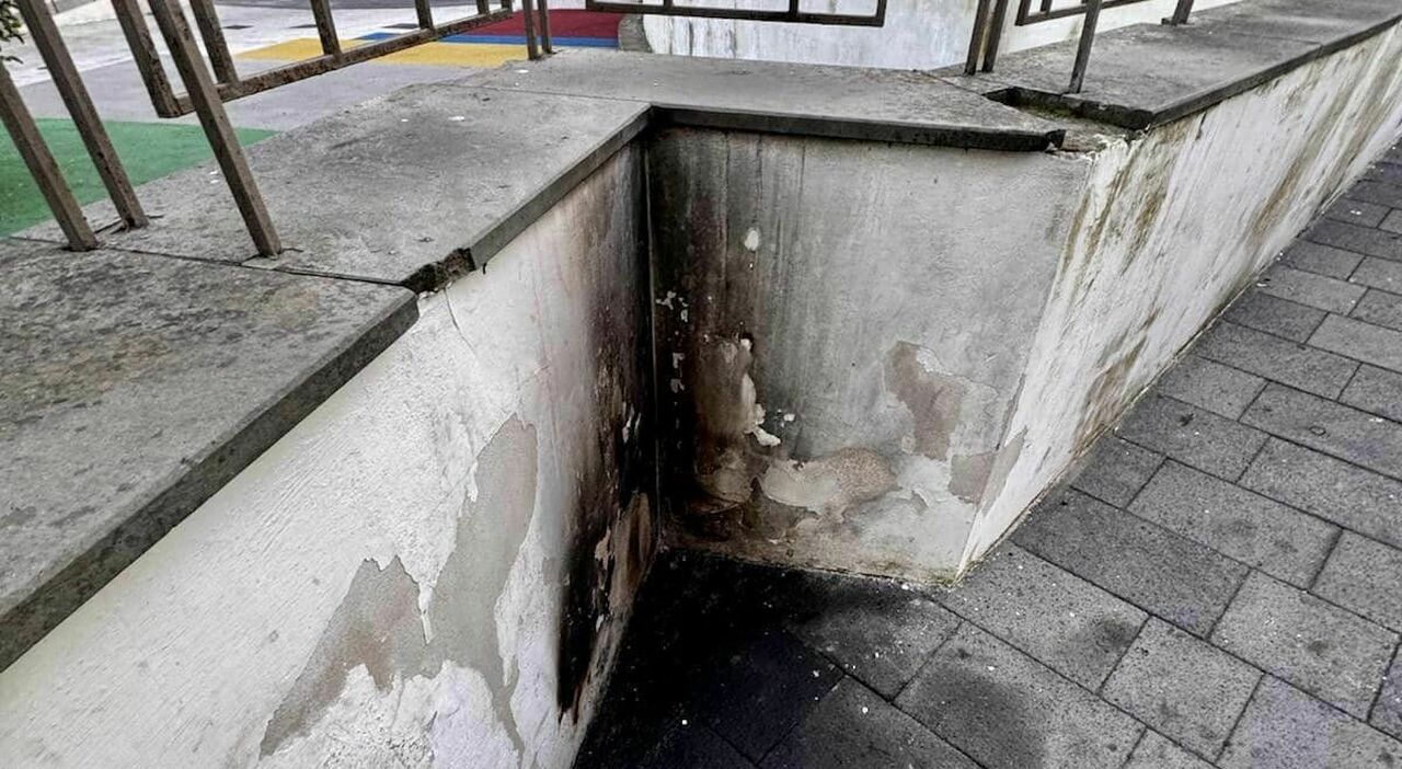 Mayor Urges Community to Speak Out After Cat Burned Alive in Sant ...