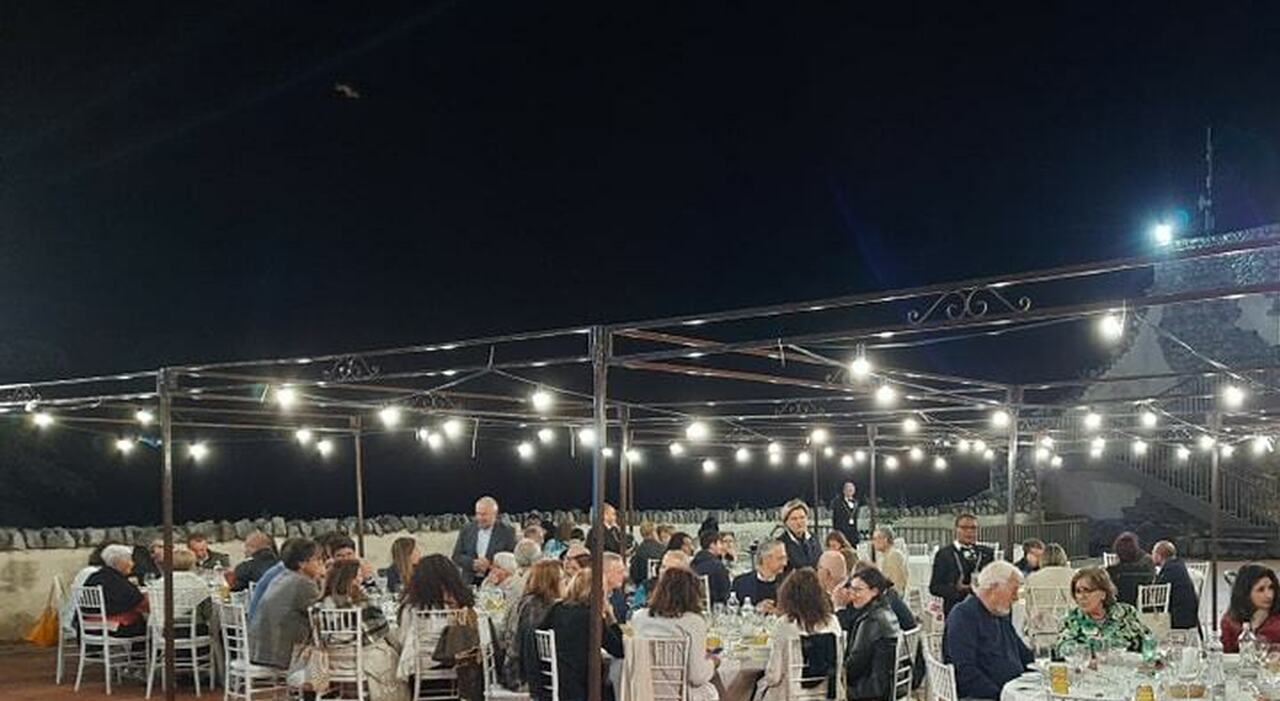 Vinalia Festival: A Unique Celebration of Wine, Music, and Culture in ...