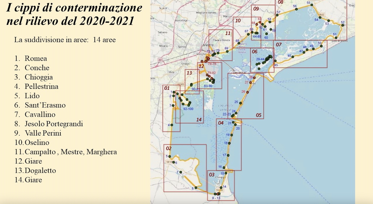I cippi (quasi) perduti in laguna: «Erano 99, posati dalla Serenissima ...
