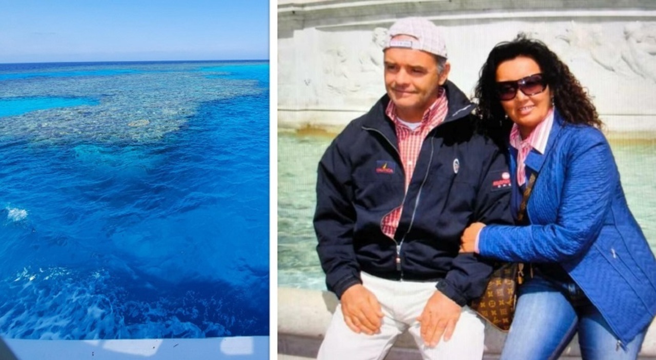 Peppino Fappani, sopravvissuto all'attacco dello squalo: «Gianluca ...