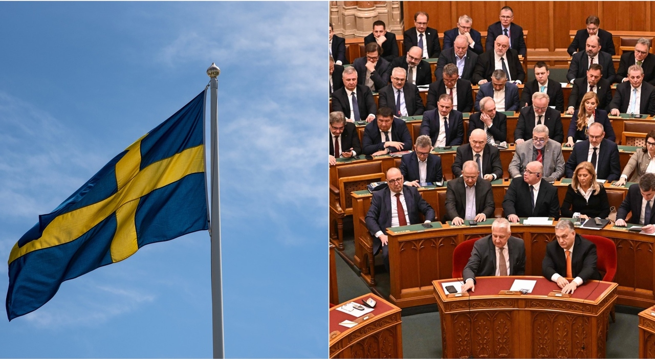 Sweden's NATO Membership: The End of Scandinavian Neutrality and Its ...