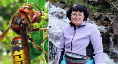 VENETO - Il Messaggero