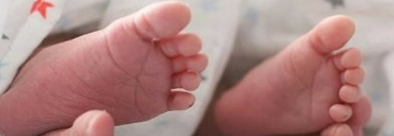 Pertosse, due neonati morti in due mesi dopo l'epidemia dello scorso ...