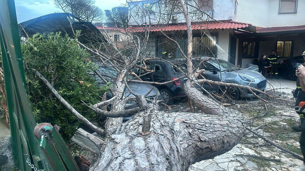 Castel Volturno, grosso pino piomba su una villa per il vento: ora è ...