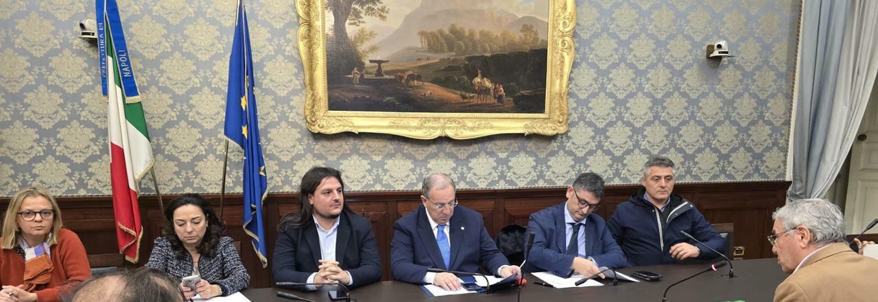 Urgent Measures for Flegrean Crisis