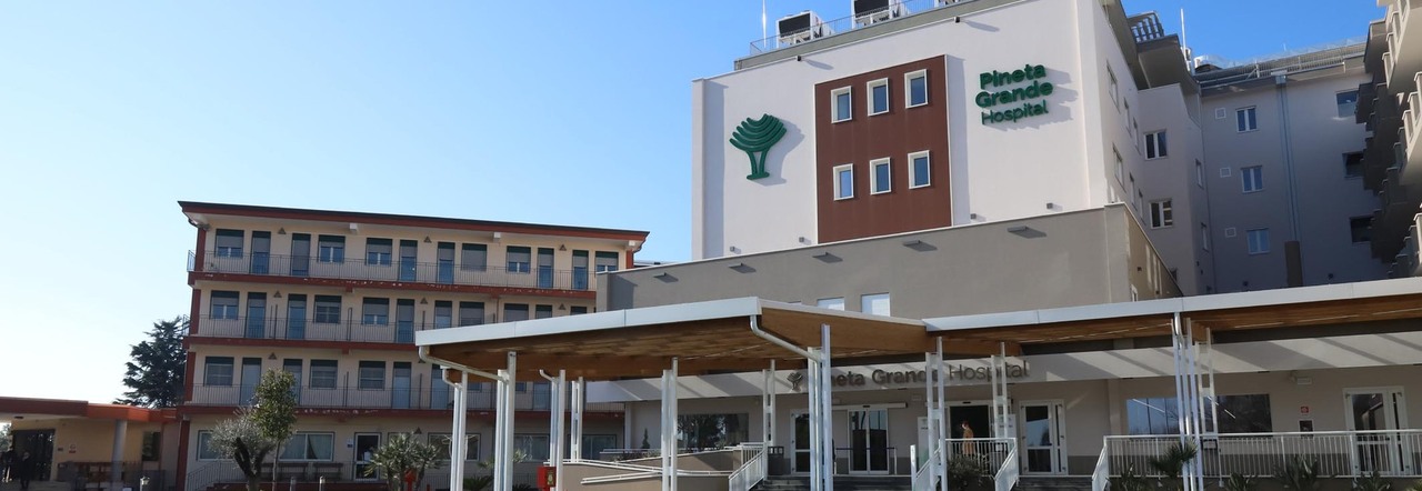 Emergency Room at Pineta Grande Hospital: Crisis Averted, Uncertainty ...