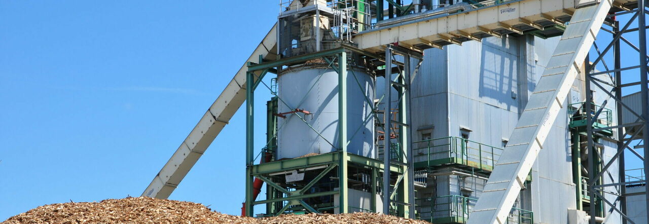 Energia, grazie alle biomasse energia naturale senza pause