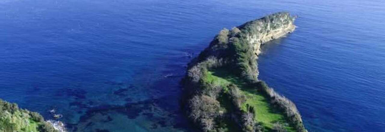 Punta Pennata in vendita, il Comune vuole l'isolotto: «Pezzo della ...