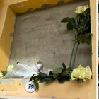 Chiara Petrolini, rinviata l'udienza preliminare. «È incapace di ...