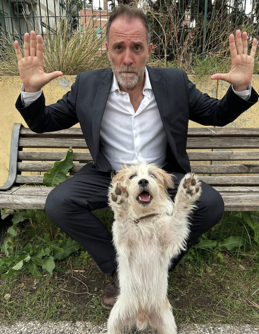 Gennarino, nuova star di Affari Tuoi: chi è il jack russell che ama i ...