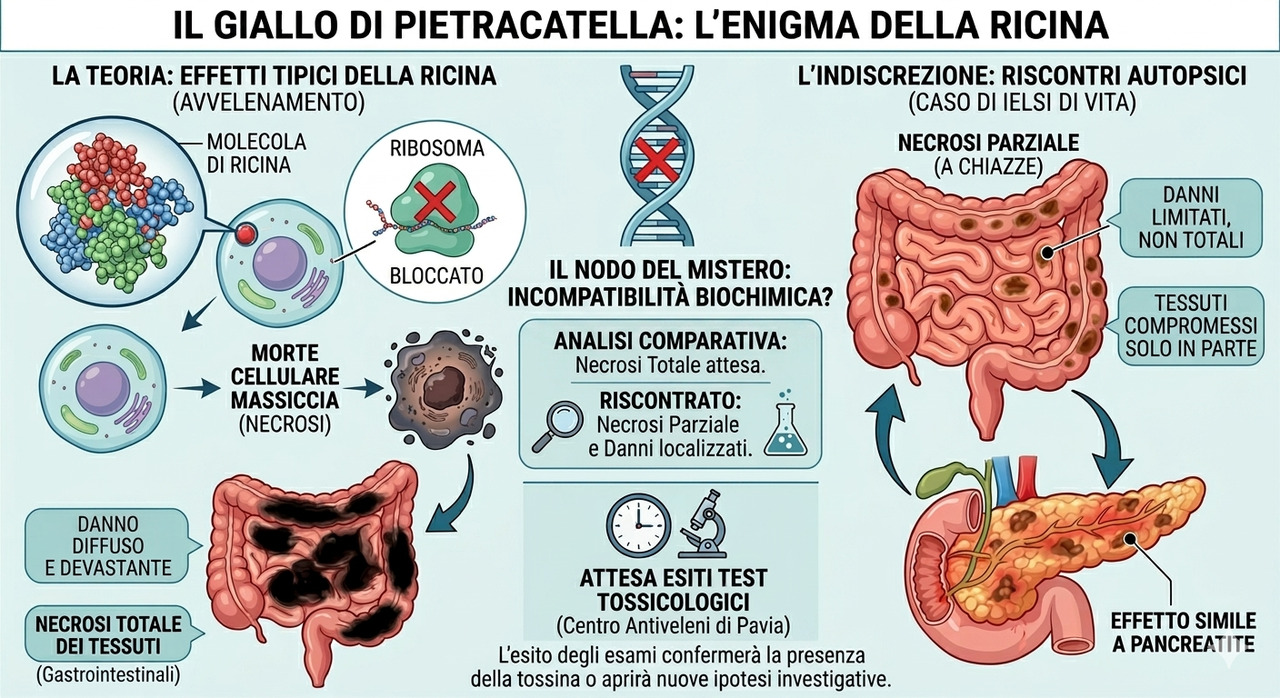 Madre e figlia avvelenate, dubbi sugli effetti della ricina: «Tessuti ...